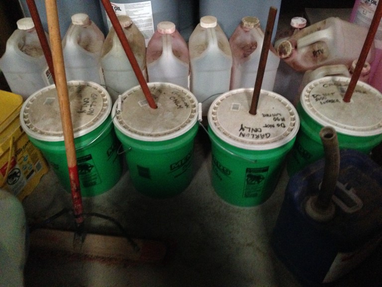 Basal bark application on honeysuckle part 1 | grassland restoration ...