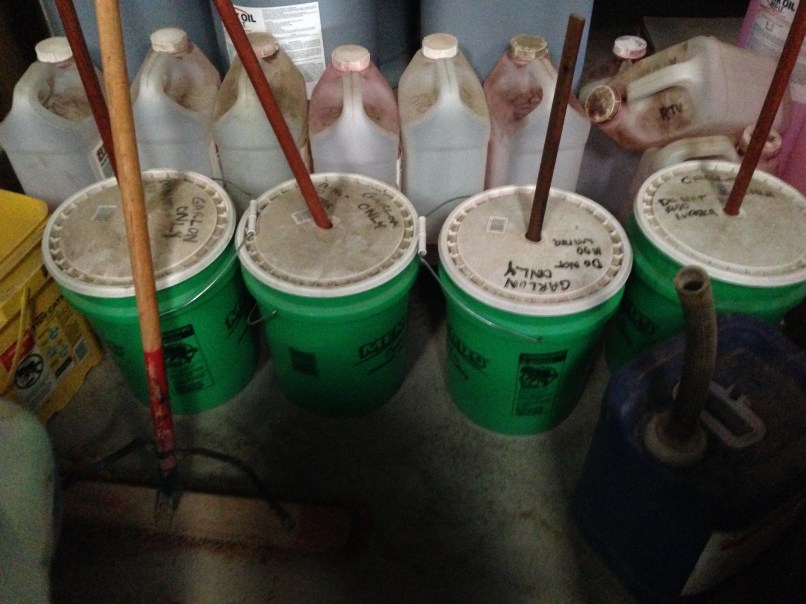 Basal bark application on honeysuckle part 1 | grassland restoration ...