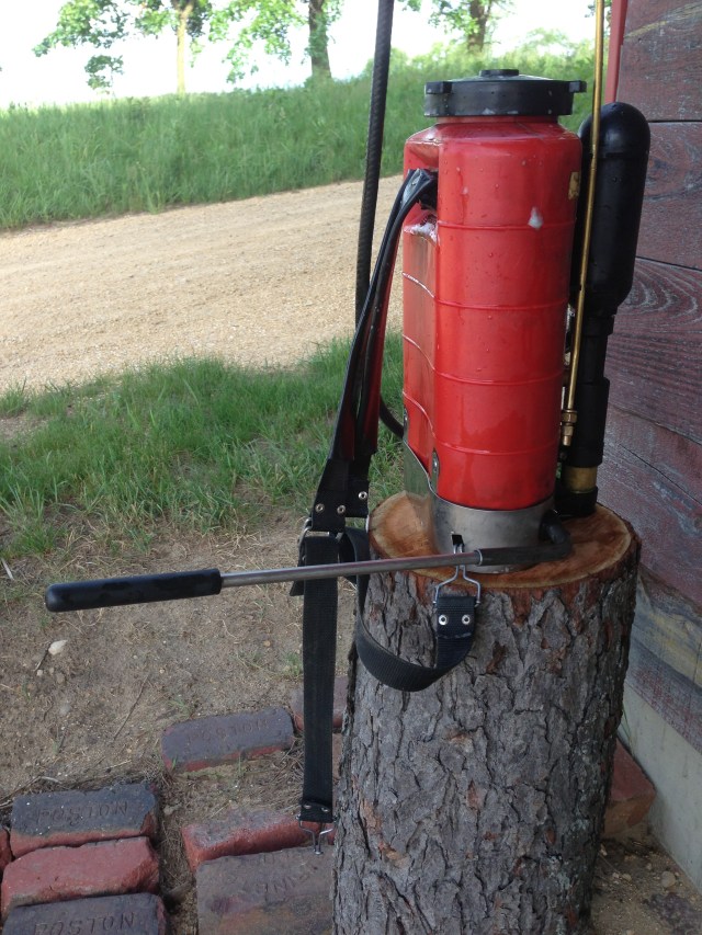 Basal bark application on honeysuckle part 1 | grassland restoration ...