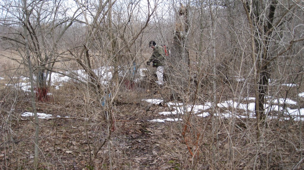 Basal bark application part 3 | grassland restoration network