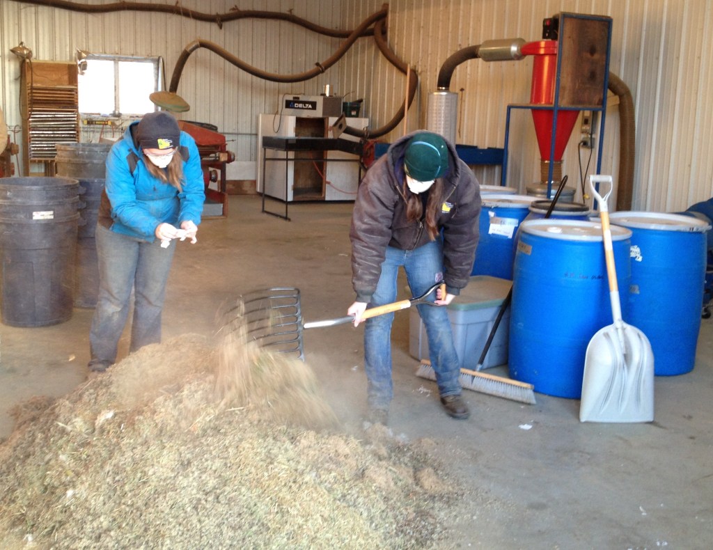 Using Rice Hulls as a Carrier for Prairie Seeding | grassland ...