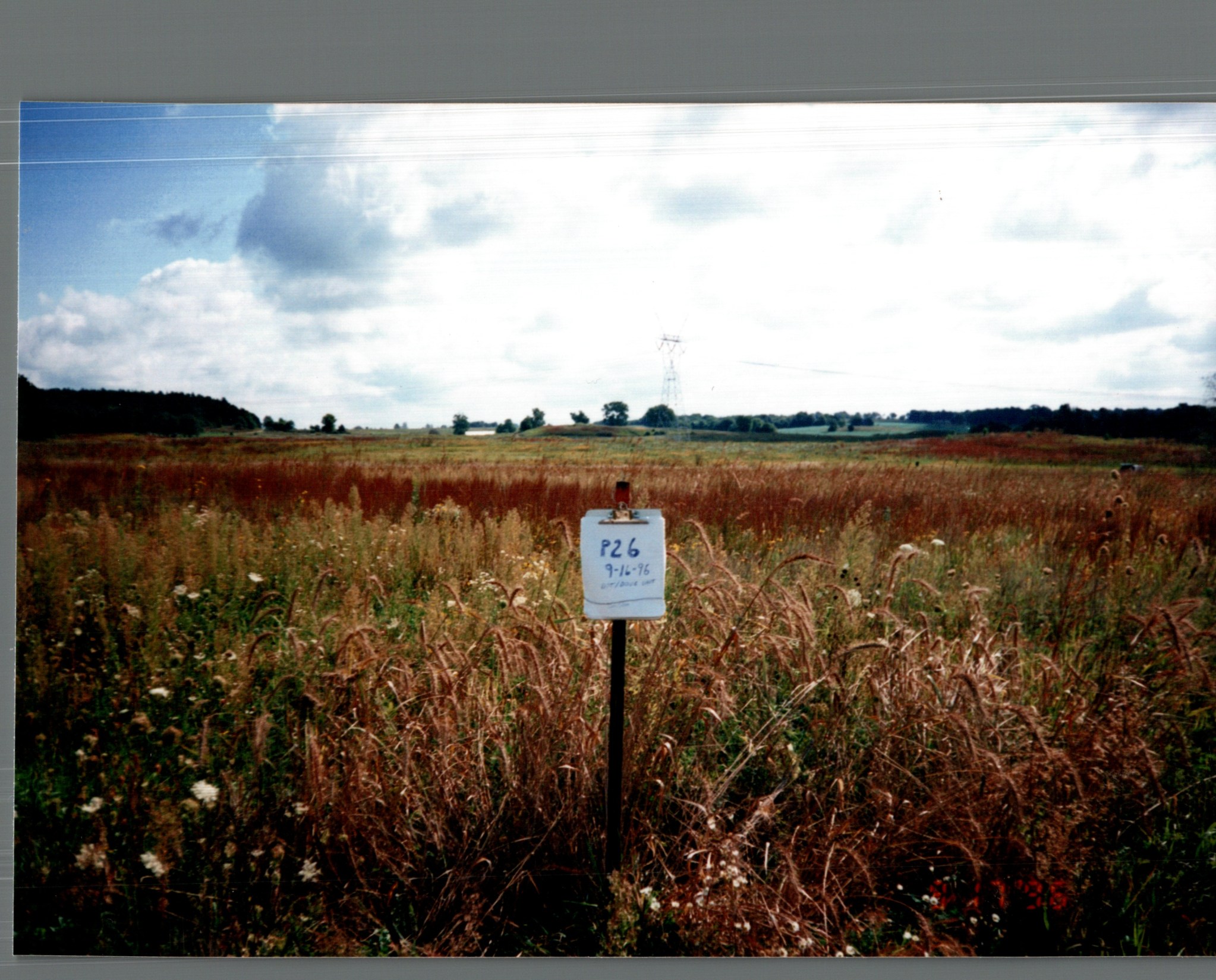 Twenty years of tallgrass prairie restoration in northern Illinois, USA ...