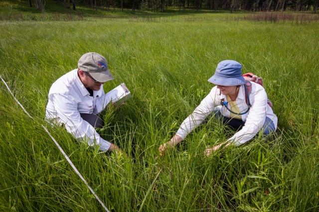 Twenty years of tallgrass prairie restoration in northern Illinois, USA ...