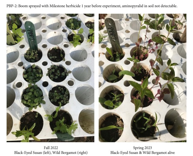 grassland restoration network | Connect with colleagues in restoring ...