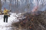 Invasive Shrub Treatment Methods – Cut Stump and Basal Bark Comparison ...