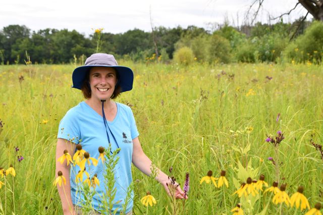 Basal Bark Herbicide Treatments for Invasive Shrubs – the Type of Oil ...