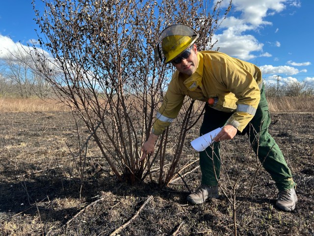 Prescribed Burn Monitoring – Fire Intensity and Vegetation Community ...